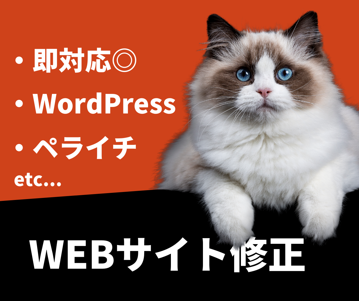 即日対応 WEBサイト・HP/LP修正します HTML・CSS、WordPress、ペライチ、BASEなど | Webサイト修正・カスタム・コンサル | ココナラ