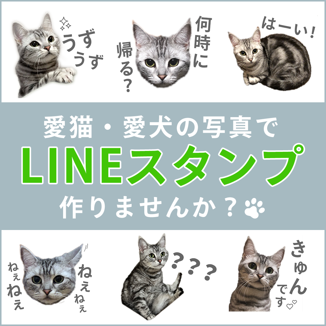 オリジナルLINEスタンプ作ります ペットのお写真をアレンジしてLINEスタンプを作りませんか？ | LINEスタンプ作成 | ココナラ