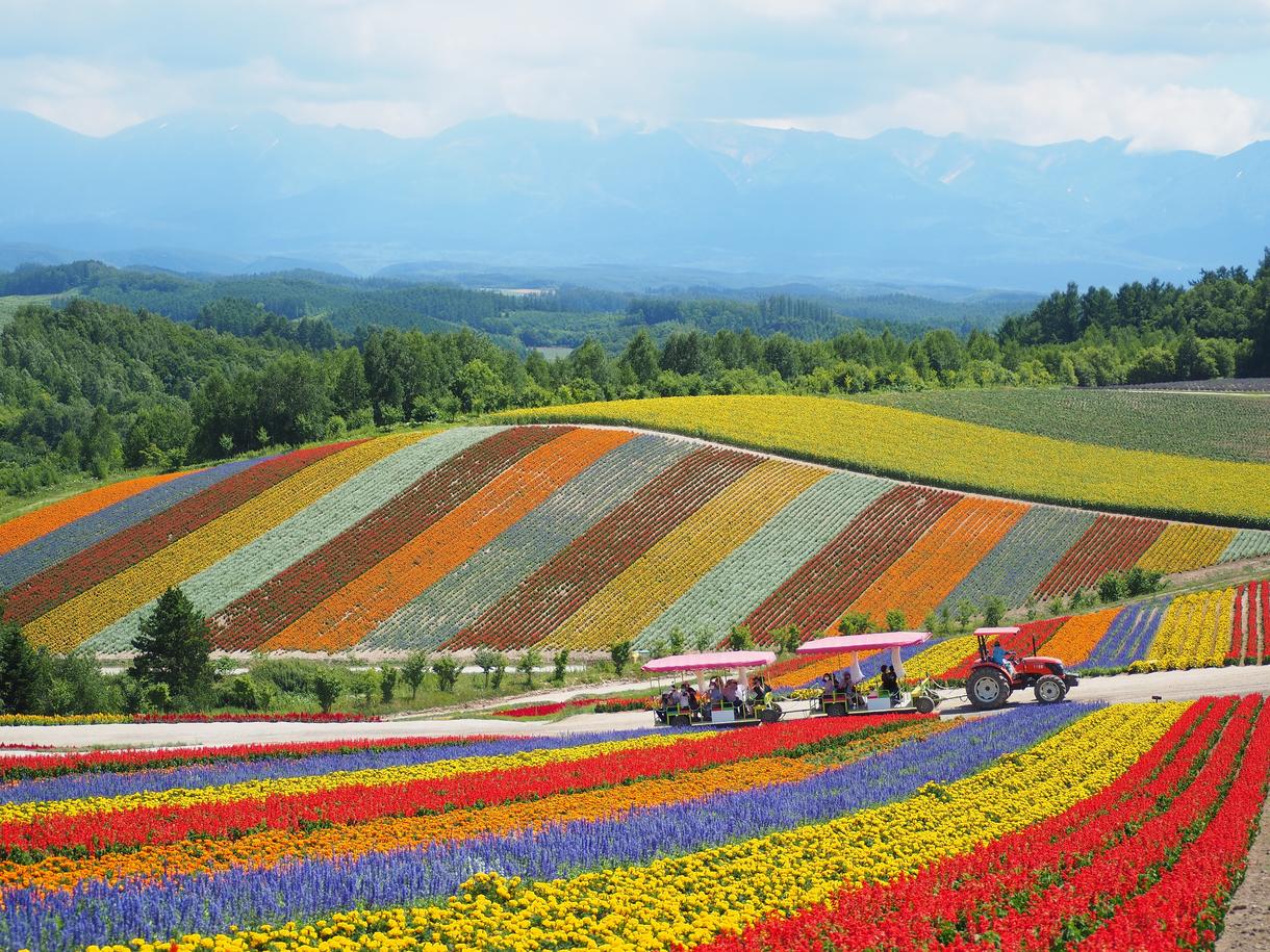 あなただけの特別な北海道旅行を一緒に考え「ます 〜SNS総フォロワー1万人超えが素敵な旅行をお約束します〜 | 旅行・お出かけの相談 | ココナラ