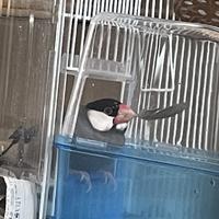 ansukeさんのプロフィール | ココナラ