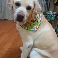 taka design 00さんのプロフィール | ココナラ