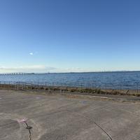 一の条さん(SE)の職種・スキル | ココナラ