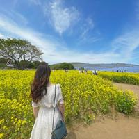 Rinn_13220さん(お悩み相談、お話し相手、ナレーション)のプロフィール | ココナラ