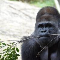 Ken 動画編集さんのプロフィール | ココナラ