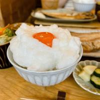 moco ショート動画・ローカライズさん(動画クリエイター/翻訳家)のプロフィール | ココナラ