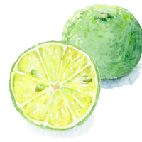 すだち LABOさん(webデザイナー)のポートフォリオ | ココナラ