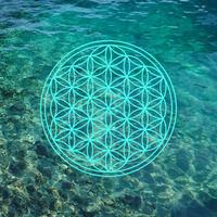 KITAMURA KENSUKEさん(WEBデザイナー、ロゴデザイナー)のポートフォリオ | ココナラ