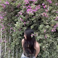 nouchi___さんの職種・スキル | ココナラ