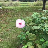 Aki body makeさん(パーソナルトレーナー)の職種・スキル | ココナラ