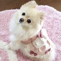 hana ⃘hanaさんのプロフィール | ココナラ