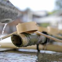 久野 秋さんのプロフィール | ココナラ