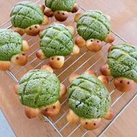 はちのすけ419さんのプロフィール | ココナラ