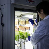 ProjectCO2さん(大学准教授, 大学発ベンチャーCEO)のプロフィール | ココナラ