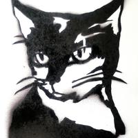 neqqさん(元TVディレクター)のプロフィール | ココナラ