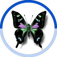 寛KANさん(イラストレーター)のプロフィール | ココナラ