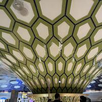 Shu J Yuuさん(アーティスト/マネジメント/演出家)のポートフォリオ | ココナラ