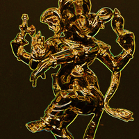 Saisevaさん(セカンドライフ満喫中)のプロフィール | ココナラ