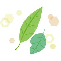 マイ0401さんのプロフィール | ココナラ