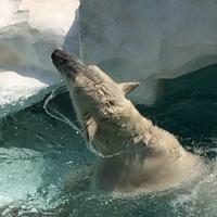 Mihiro Hashimotoさん(Webサイト制作)のポートフォリオ | ココナラ