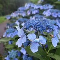 Emma_0118さんのプロフィール | ココナラ