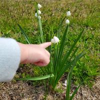 Hono_mamaさん(ママフリーランス)のプロフィール | ココナラ