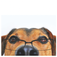 hiro☆子育て兼業ママさん(副業コンサル子育てママ)のプロフィール | ココナラ