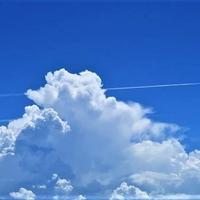 rei／WEBバナーデザイナーさん(webバナーデザイナー)のプロフィール | ココナラ