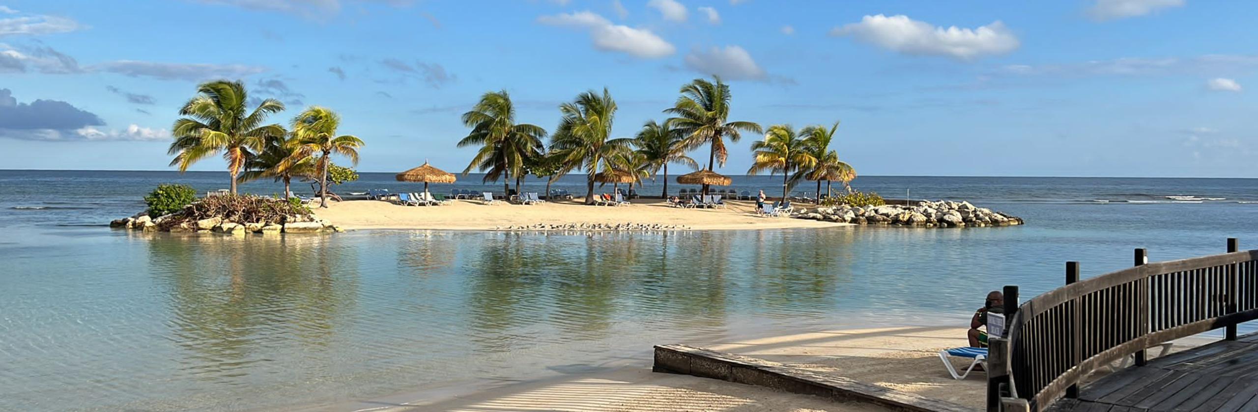 Deborah Pさん(フリーランス)の出品サービス | ココナラ