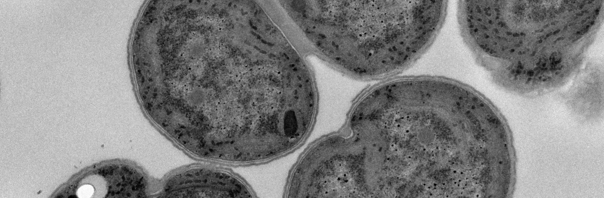 ProjectCO2さん(大学准教授)のプロフィール | ココナラ