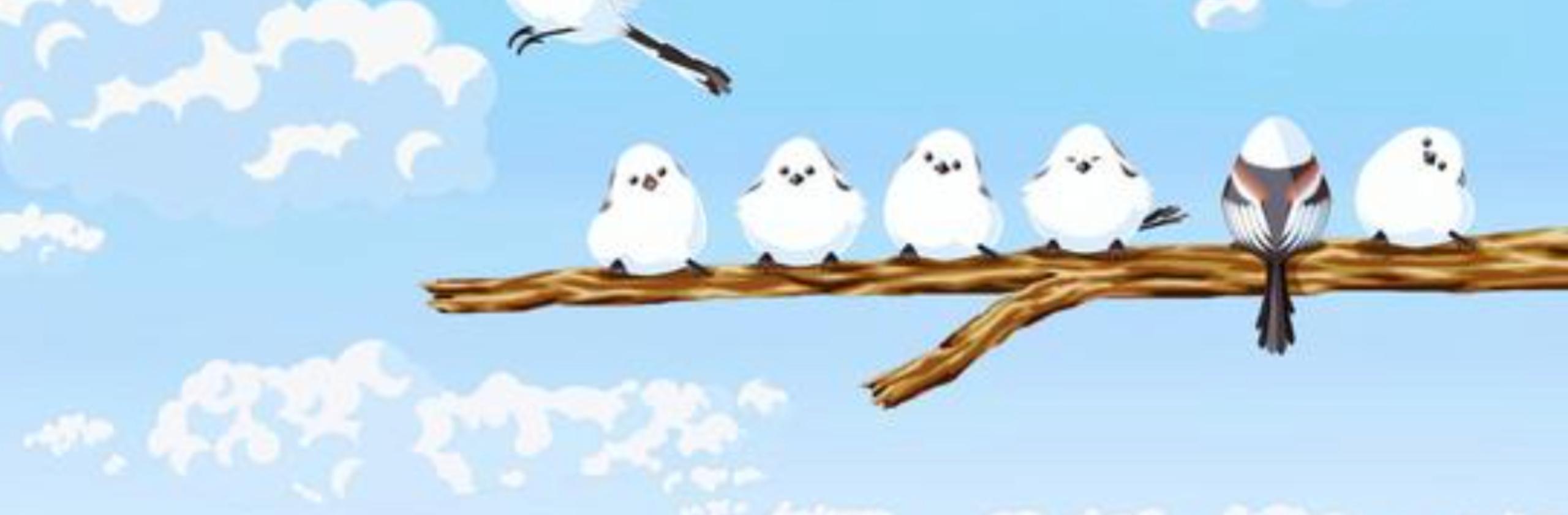 maru_mariブログ一覧｜coconalaブログ