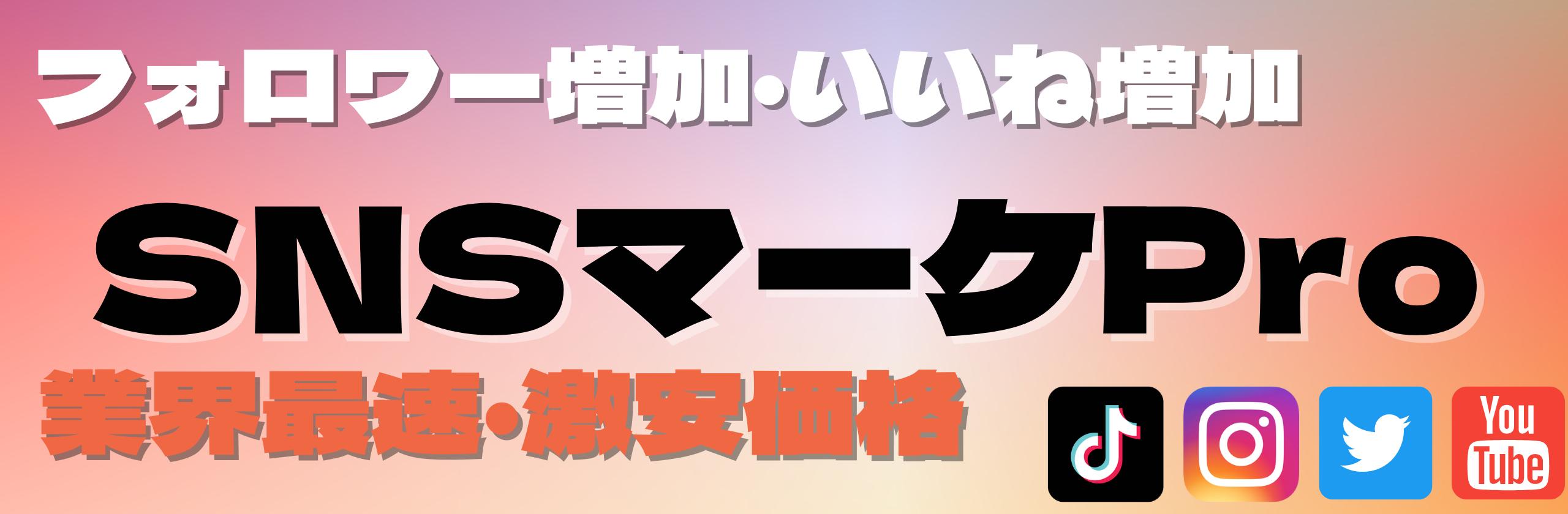 SNSマーケティングProさん(SNSマーケター)のスキル/経歴 | ココナラ
